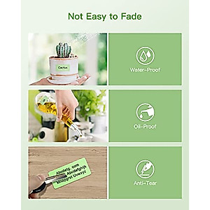 POLONO Label Printer, PL420 4x6 Thermal Printer, High-Speed Shipping Label Printer, Commercial Direct Thermal Printer, 2.25”x1.25” Direct Thermal Label