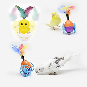 Bird Training Toy Parrot Funny Tumbler Puzzle Educational Toys, Bird Table Top Trick Prop Toy, Bird Foot Talon Toy for Cockatiel African Grey Cockatoo Eclectus Conures (B)