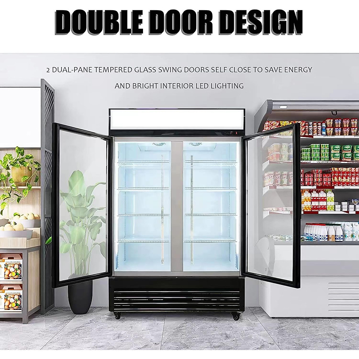 FRICOOL 51" Commercial Glass 2 Door Display Refrigerator Merchandiser - Upright Beverage Cooler With Led Lighting