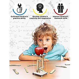 6 in 1 STEM Kits, Science Experiment STEM Projects for Kids Ages 8-12, Educational 3D Wooden Puzzle, DIY STEM Toys Building Kit, Gifts for Boys and Girls Ages 8 9 10 11 12 Years Old