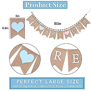 Twins Banner for 1st Birthday - We Are One Banner, Twins Birthday Party Banner, Twins Frist Birthday Decor, Girls Boys First Birthday Decoration,Photo Prop