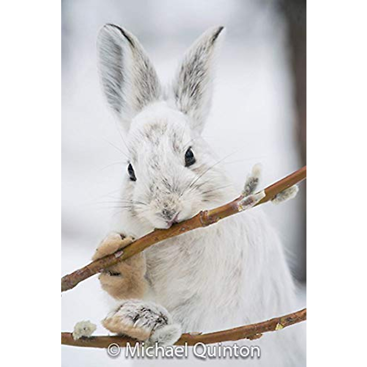 Sierra Club Engagement Calendar 2021