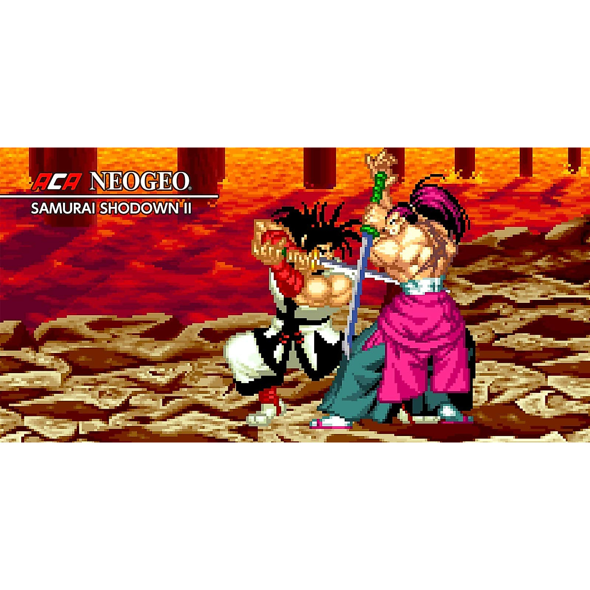 Samurai Shodown: Neogeo Collection (Switch) (Nintendo Switch)