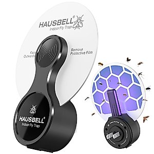 Hausbell Fruit Fly Traps for Indoors, Wall Plug-in Fly swatter, 1 Trap + 2 Glue Cards, Black