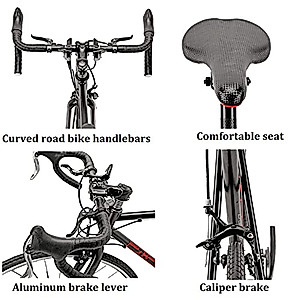 EUROBIKE XC560 Road Bike,54 cm Frame 700C Adult Street Bike,Lightweight Road Bicycle for Women,21 Speed Bikes for Men,Silver