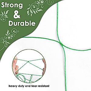 PACETAP 2PCS 6x16.4Ft Trellis Netting for Outdoor Climbing Plants, Garden Plant Trellis Netting with 100PCS Zip Ties for Cucumber, Tomato, Vine, Vegetable Fruit and Flowers