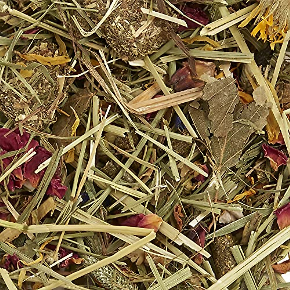 Tropical Carnival F.M. Brown's Tropical Canival Natural Behaviors Grain-Free Pet Rabbit Daily Diet - 4lb