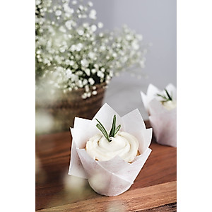 Ashleigh's Tulip Cupcake Liners - 100 Blush Ferns Cupcake Wrappers, Baking Cups, Muffin Cups, Cupcake Cups