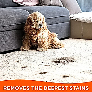 Tide Laundry Stain Remover with Oxi,Rescue Clothes, Upholstery, Carpet and more from Tough Stains, 3oz (Pack of 3)