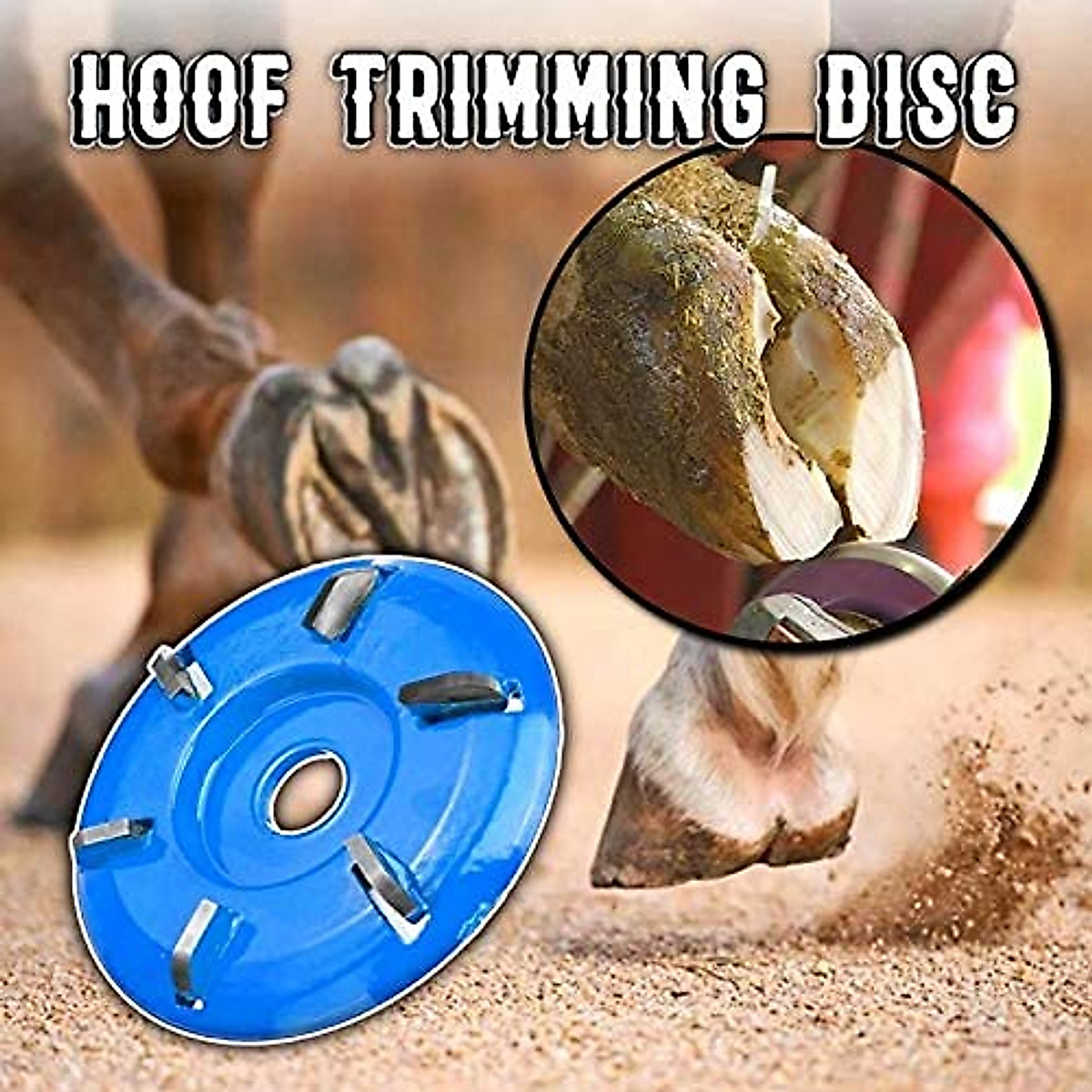 Aslion Hoof Trimming Disc for Horses Goats, Professional Electric Hoof Repair Tool High Working Efficiency and Durable - 6 Tooth Design