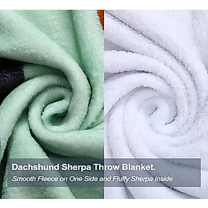 Famitile Dachshund Blanket, Wiener Dogs Throw Blanket, I Love Dachshunds Soft Flannel Dachshund Stuffed Animal Blankets Dachshund Gifts for Women (Dachshund 1, 47" x 60")