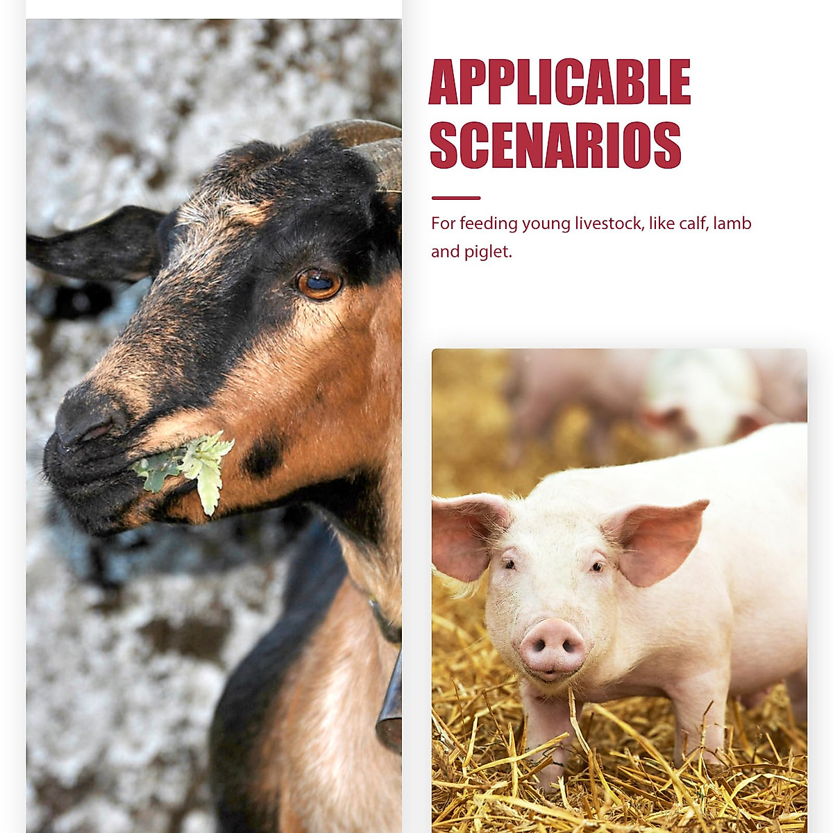 DOITOOL 5 Pcs 400ml Goat Bottles for Feeding Baby Goats,Lamb Nursing Lamb Feeding Bottle,Puppy Feeding Bottles,Small Animal Milk Drink Bottle,Plastic Milk Bottles for Newborn Animals