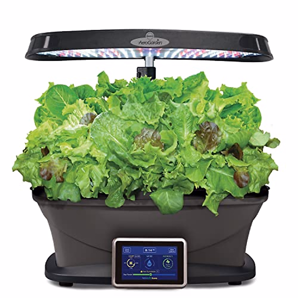 Aerogarden Salad Greens Seed Pod Kit with Red, Green, Romaine and Butter Leaf Lettuce, Liquid Plant Food and Growing Guide (9-Pod)