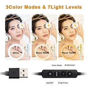 Godox LR120 12" LED Ring Light with Desktop Stand & Phone Holder,3000K-6000K Dimmable Selfie Ring Light,USB Powered Conference Light for Vlogs,YouTube,TikTok,Live Stream,Makeup,Photography (Black)