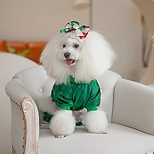 CuteBone Mister Lucky St.Patrick's Day Small Dog Pajamas Soft Puppy Pjs Fleece Stretchy Onesie Cat Clothes for Daily Wear P274S