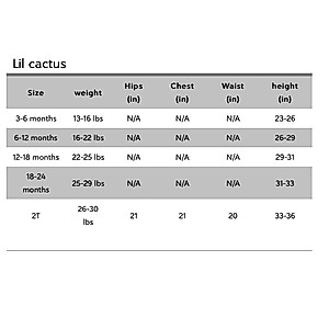 Lil cactus Baby Boys Applique Shortall Overalls Romper, 3-6 Months