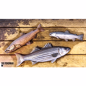 The Fisherman: Fishing Planet (PS4) - PlayStation 4