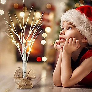 Lighted Birch Tree, 2pcs 24”H Tabletop Tree Light with Burlap Decor, Pre-Lit 24 LED Warm White Lights, Timer Function, Money Tree Perfect for Spring Home Centerpiece Decor, Indoor&Outdoor Use