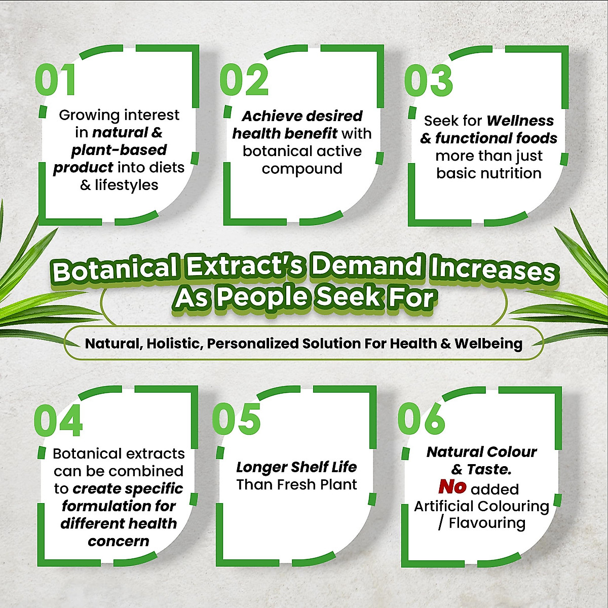 Standardized Plant Extract Vanilla of the East, Natural Asian Gourmet Baking Ingredient, Natural Flavor, Natural Color Chlorophyll of Pandan Leaf Extract Concentrate for Bakery & Beverage (1000g)