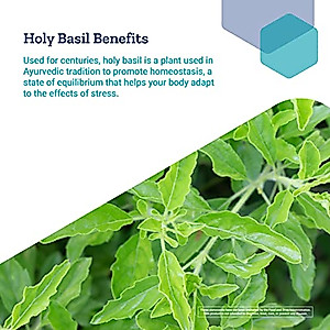 Life Extension Adrenal Energy Formula - Stress Management Supplements with Ashwagandha, Cordyceps, Holy Basil & Bacopa for Homeostasis Support – Gluten-Free, Non-GMO, Vegetarian – 60 Capsules