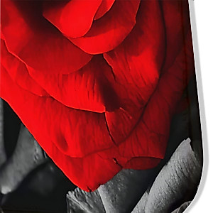 LUCKYYOUGAN Large Farmhouse Rug for Farmhouse Decor,Romantic Rose Black and White red Painting Abstract Living Room Mat Bedroom Area Rugs Home Decor Non-Slip Crystal Floor Polyester Mat 35.4x23.9inch