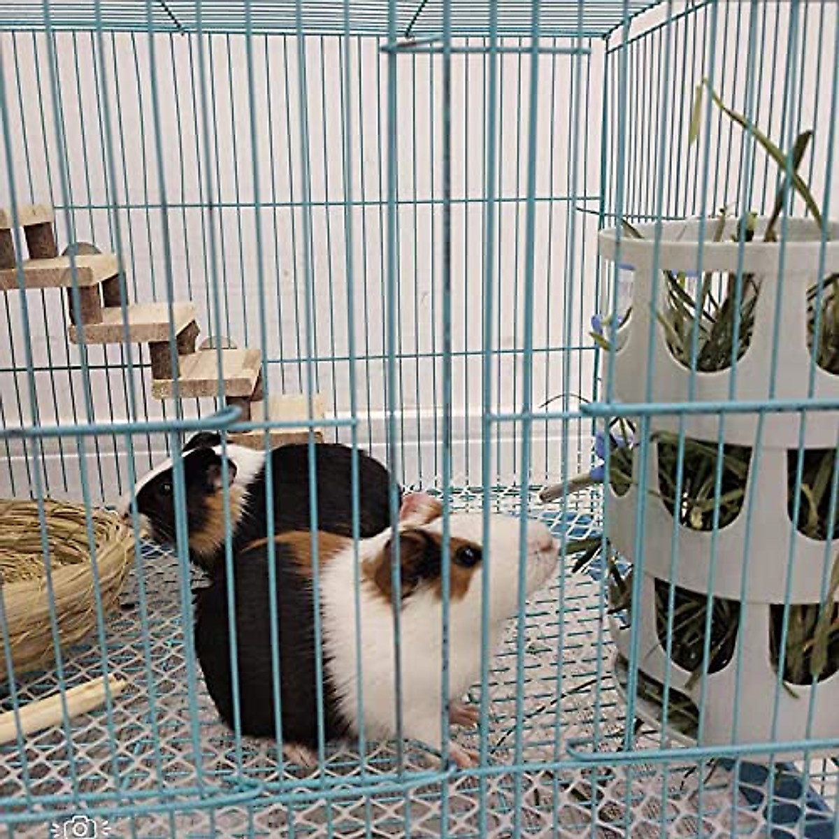 Hamiledyi Rabbit Hay Feeder，2Pcs Bunny Hanging Cage Manger Hay Holder Rack for Small Animal Chinchilla Guinea Pig Rat-（Random Color）