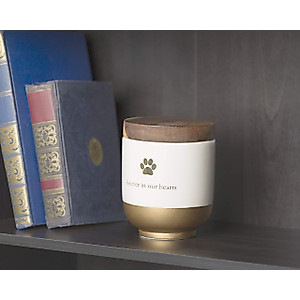 Pearhead Pet Ceramic Forever in Our Hearts Urn, Pet Memorial, Dog Or Cat Keepsake Urn, Rainbow Bridge, Gold