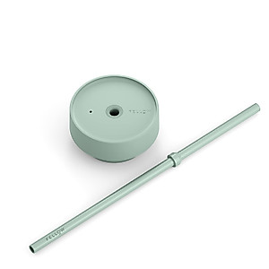 Fellow 16 oz Carter Cold Travel Mug for Water, Iced Tea, Coffee, Smoothies, Iced Coffee & more - Stainless Steel Vacuum-Insulated Iced Coffee tumbler with Spill Resistant lid and straw - Mint Chip