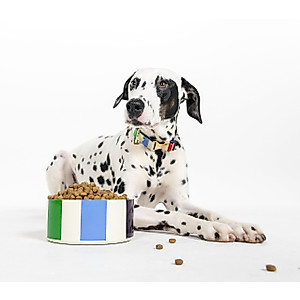 kate spade new york Cute Dog Collar with Gold Metal Details & Plastic Buckle, 15" to 22" Adjustable Dog Collar for Female or Male Dogs, Medium/Large, Adventure Stripe