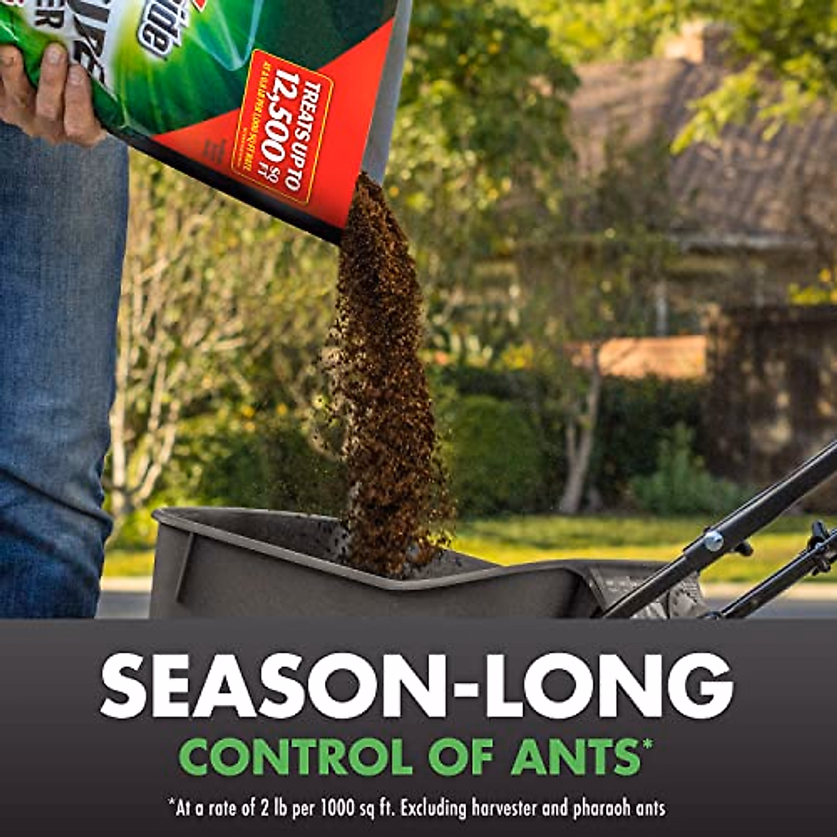 Spectracide Triazicide Insect Killer for Lawns Granules, 10 lb Bag, Kills All Listed Lawn-Damaging Insects (Pack of 2)