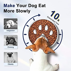 AIPERRO Slow Feeder Dog Bowls 304 Stainless Steel, 2 Cups Metal Food Bowls, Water Bowl for Small & Medium Sized Dogs, Fun Bloat Stop Pet Fast Eaters