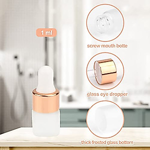 30 Pack Frosted Glass Dropper Bottle,Essential Oil Dropper Bottle Travel Glass Vials Cosmetic Sample Container For Essential Oils,Perfume With Glass Eye Dropper&Rose Gold Lids (1ml)