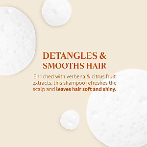 L’OCCITANE Citrus Verbena Shampoo 8.4 Fl. Oz: Sparkling Grapefruit and Lemon Scent, Enriched With Organic Verbena Extract, Gently Cleanse, Reveal Shine