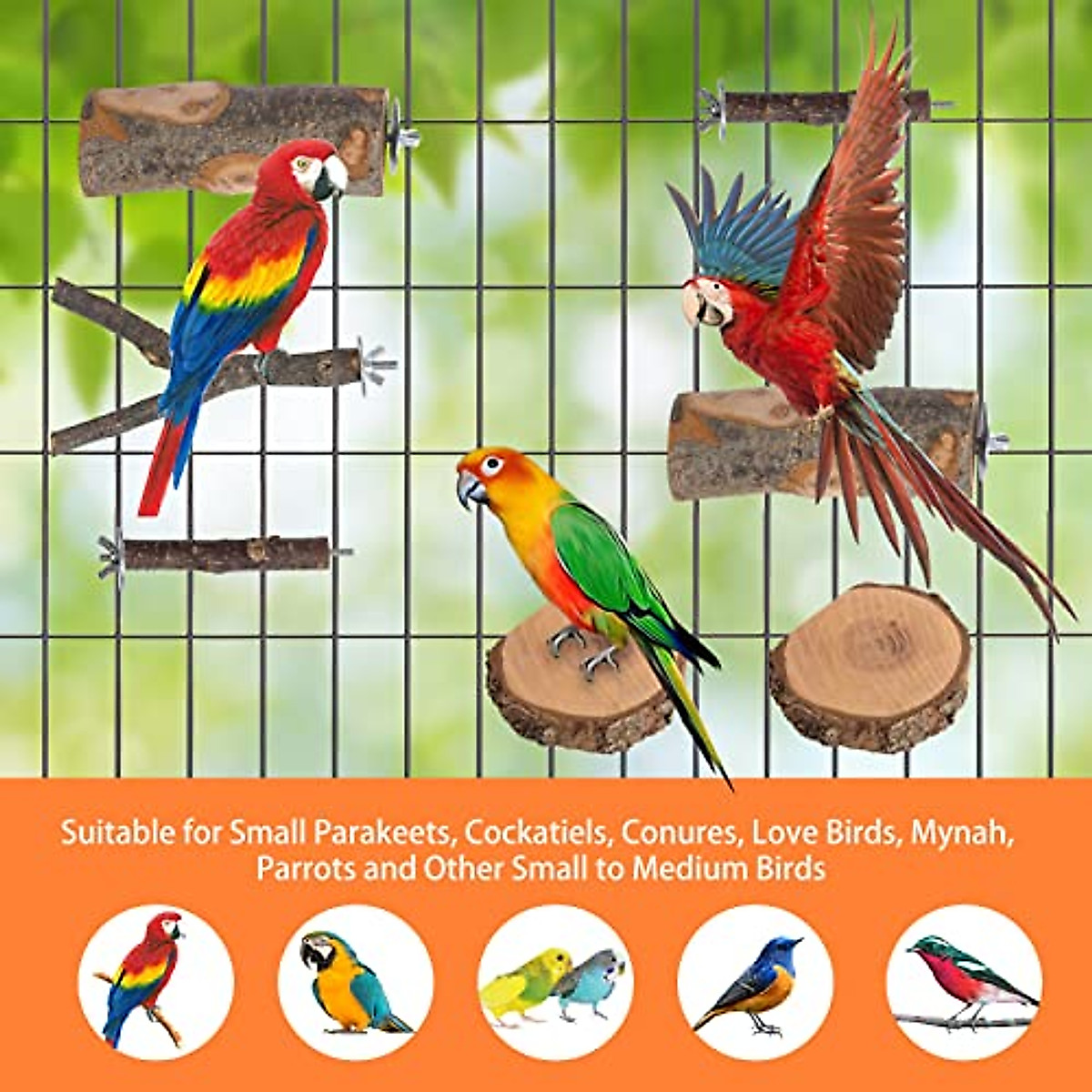 Bird Perches Parakeet Cage Accessories - Natural Wooden Parrot Stand Branch Budgie Bath Mirror Hammock Winter Warm Hanging Nest Hut Cockatiel Water Feeder Dispenser