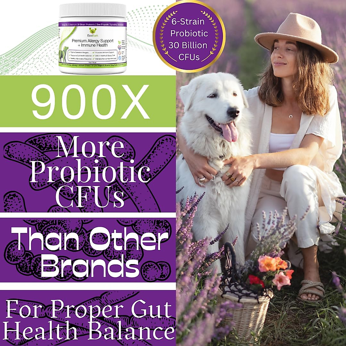 EcoBark Natural Dog Allergy & Immune Chews with Super Greens- Omega 3 Skin and Coat Supplements for Dogs - Gluten Free Probiotic Allergy Support & Relief for a Shiny Coat with Colostrum & Bee Propolis