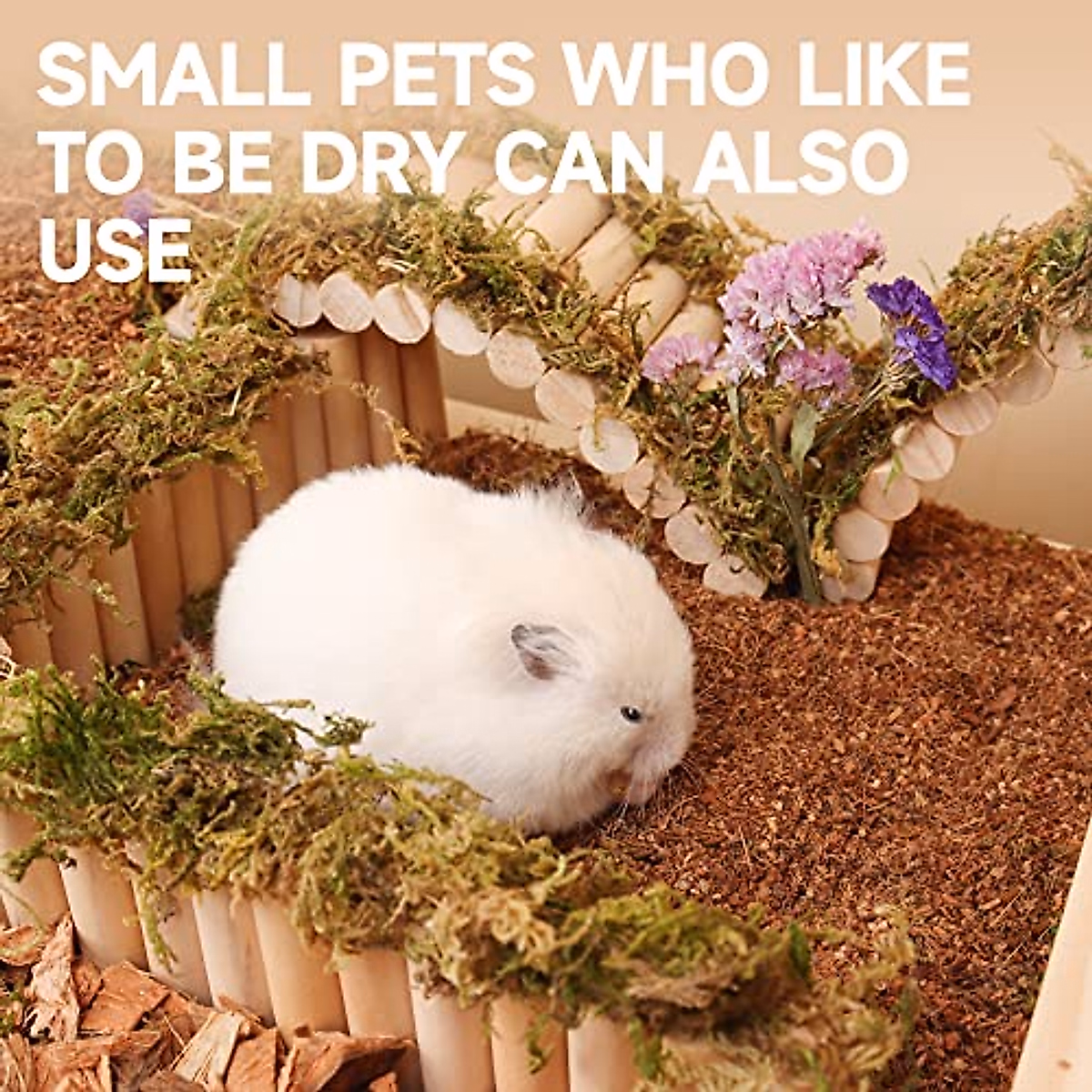 LUVCOSY Reptile Coconut Fiber Substrate & Forest Moss Combo Clean Bedding Accessories for Bearded Dragon/Snake/Lizard/Gecko/Tortoise, Tarantula Terrarium Tank Humidity Control and Odor Absorbent