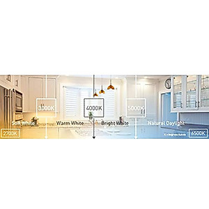 (3-pack) EcoSmart BR20 Soft White LED, Dimmable, 575-Lumen, 2700K, 8-Watt (50-Watt Equivalent) Light Bulb, E26 Medium Base