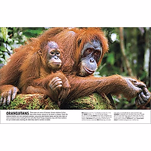 The Animal Book: A Visual Encyclopedia of Life on Earth (DK Our World in Pictures)