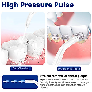 Dental Water Flosser Teeth Cleaner - Zerhunt High Frequency Pulsed Water Flosser Electric Oral Irrigator with 5 Interchangeable Nozzles for Braces, Implants, Bridges, 600ML Large Capacity Black