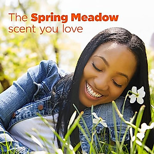 Tide PODS laundry detergent pacs, 3-in-1 Stain Remover, Odor Fighter, Color Protector, 112 Count, HE compatible, Spring Meadow Scent