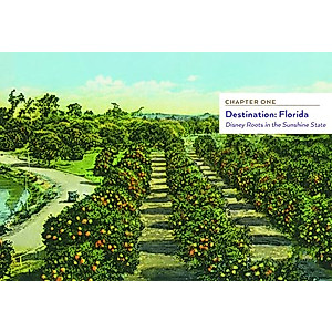 A Portrait of Walt Disney World: 50 Years of The Most Magical Place on Earth (Disney Editions Deluxe)