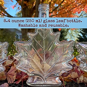Maple Tapper Glass Maple Syrup Bottles Jars (Set of 3) with (6) Self-Sealing Caps – Reusable Leaf Shaped, Food Grade Canning Bottles 250 ml, 8.4 oz for Sugarmaking & 5 Recipe Cards, Instructions