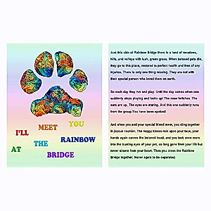COZYMATE Rainbow Bridge Pet Memorial Gift Lava Bead Bracelet in Memory of Dogs Cats