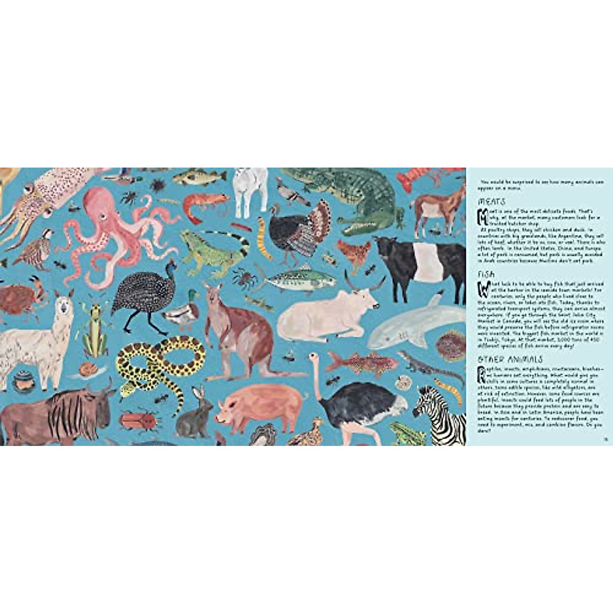 Markets: A World to Discover