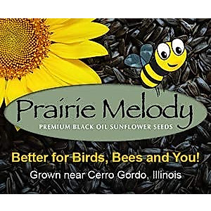 Prairie Melody(TM) Premium Black Oil Sunflower Bird Seed, Pesticide Free, 12-Pound Bag