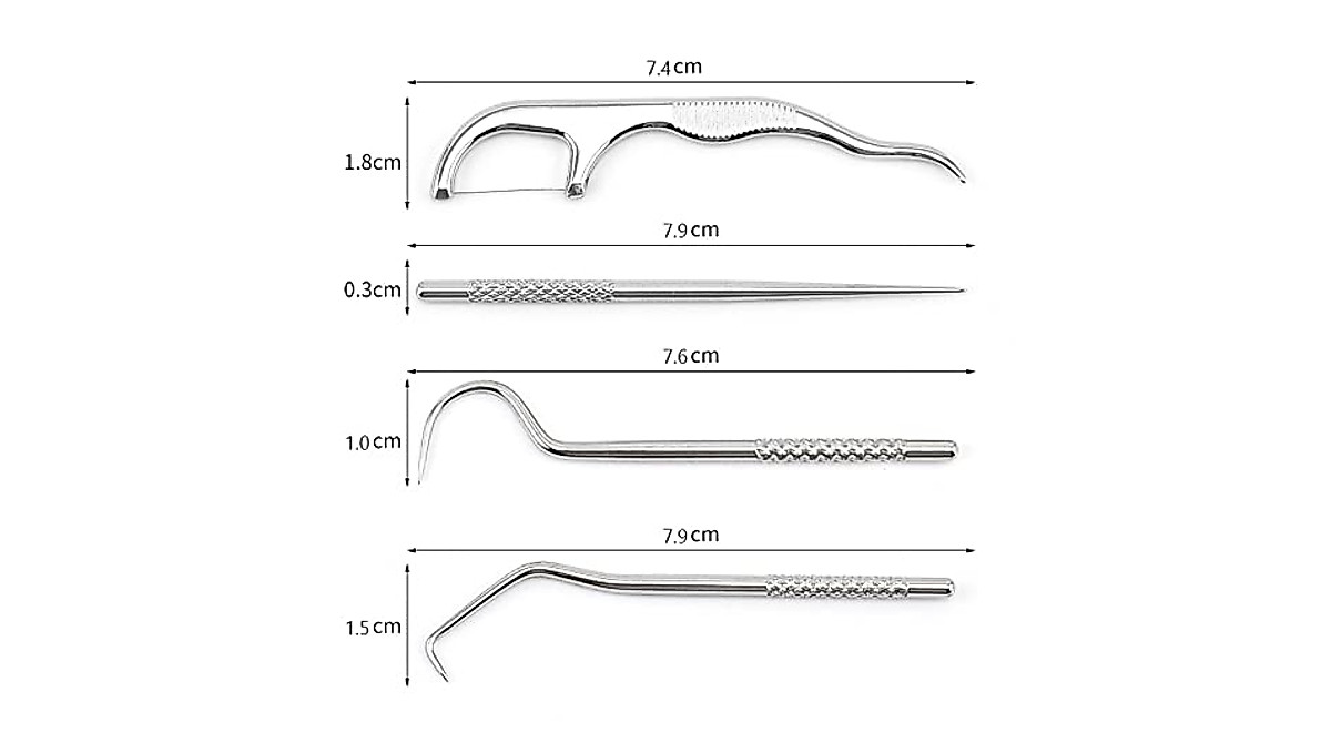Toothpicks Pocket Set, Dental Floss Picks Kit Reusable, Stainless Steel ...