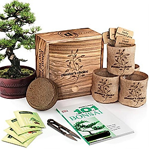 Bonsai Starter Kit - DIY Bonsai Growing Gift - Garden Hobbies for Adults, Women & Men : 4 Unique Tree Seeds, Soil, Pots, Pruning Shears, Plant Markers + Wood Gift Box