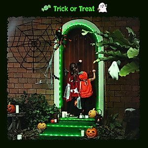 JMEXSUSS Green Halloween Solar Lights, 66 ft 200 LED Rope Lights Outdoor Waterproof, PVC Tube Green Christmas String Lights for Halloween Party Tree Fence Christmas