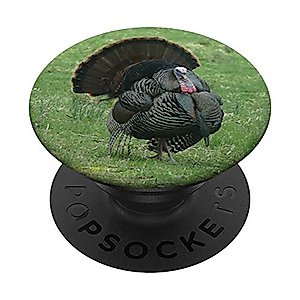 Wild Turkey Strutting Tom Hunting Photo PopSockets PopGrip: Swappable Grip for Phones & Tablets