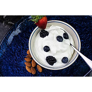 Anvil Traditional Healing Homemade Probiotic Kefir Starter Culture Kit - Non-GMO, Organic, Vegan, Pure & All Natural - High In dose, Grow your own probiotic | Produces 12 Quarts/3 Gallons Per Pack